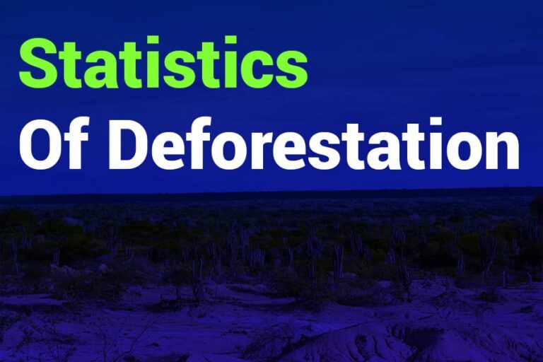 Statistics of Deforestation: The Alarming Global Impact